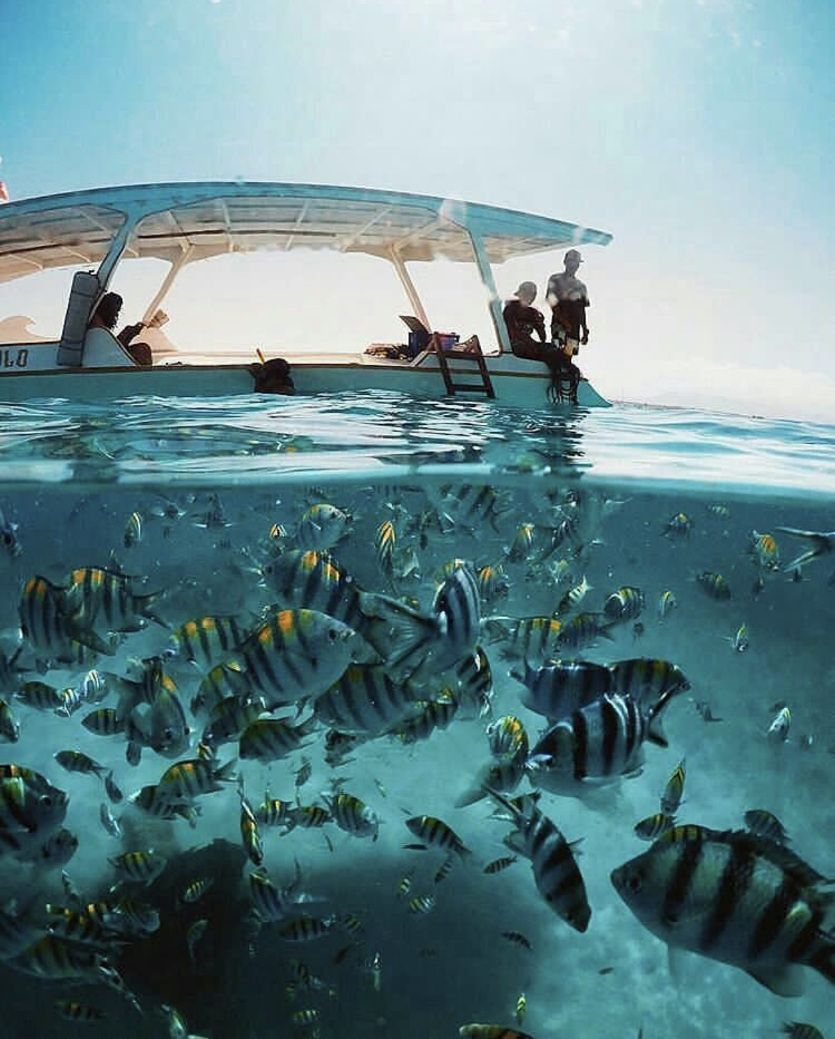 Escape to the Tranquil Waters of Cubadak Island: A Picturesque Getaway ...