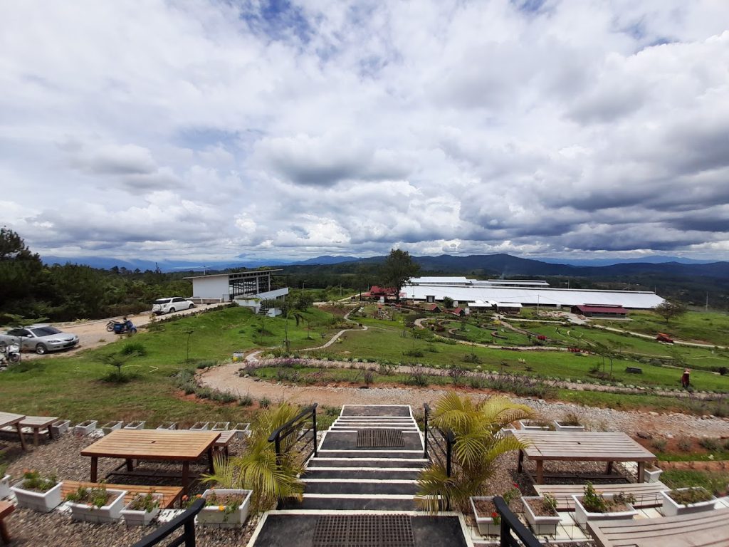 Serunya Wisata Edukasi di Sirukam Dairy Farm - West Sumatra 360