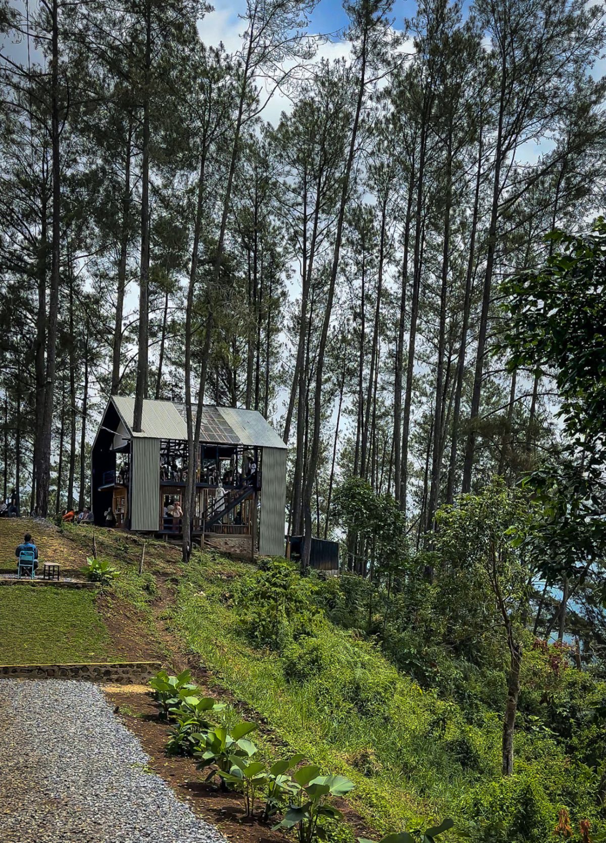 Folka Cultural Space: Cafe Viral di Tengah Hutan Pinus