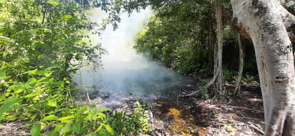 9 Fakta Menarik Tentang Kabupaten Pasaman - West Sumatra 360